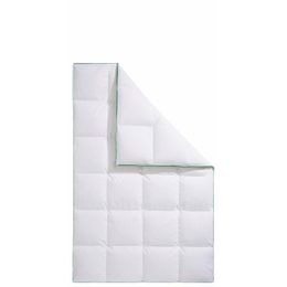 fj&ouml;dur fj&ouml;dur Daunenbettdecke &raquo;Fee, Bettdecke 135x200, 155x220 cm und weitere Gr&ouml;&szlig;en&laquo; extrawarm F&uuml;llung 80Daunen20Federn 1 Stk. tlg. Hergestellt in 