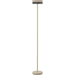HELL h&ouml;llisch gutes Licht LED Stehlampe &raquo;MESH-B&laquo; LED-Modul 1 Stk. Warmwei&szlig; Tastdimmer 1, &Oslash; 16cm H: 120cm, 1 Stk.