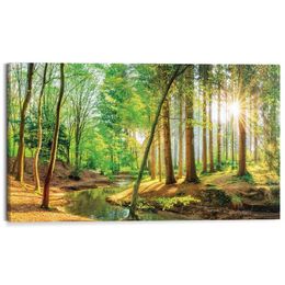 Reinders Deco-Panel &raquo;Sonnenschein im Wald&laquo; Hobbyraum - Gr&uuml;n - MDF - Wald - 118x70 cm gr&uuml;n B/H/T: 118cm x 70cm x 2cm