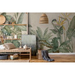 A.S. Cr&eacute;ation Vliestapete &raquo;Tropen-Tapete mit Bl&auml;ttern und V&ouml;geln Gr&uuml;n Beige&laquo; matt glatt gr&uuml;n Vlies B/L: 2,5m x 3,75m, Rollen: 1