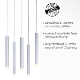 JUST LIGHT Pendelleuchte &raquo;BRUNO&laquo; LED-Board 1 Stk. Warmwei&szlig; LED grau 10, H: 120cm, 1 Stk.