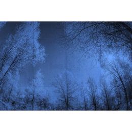 ARCHITECTS PAPER Fototapete &raquo;Atelier 47 Forest Glade 1&laquo; Wald glatt Vlies, Wand, Schr&auml;ge, Decke blau Vlies B/L: 4m x 2,7m