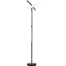 HELL h&ouml;llisch gutes Licht LED Stehlampe &raquo;TWICE&laquo; LED-Modul 1 Stk. warmwei&szlig; - kaltwei&szlig; Tastdimmer, CCT schwarz 2, H: 185cm, 1 Stk.
