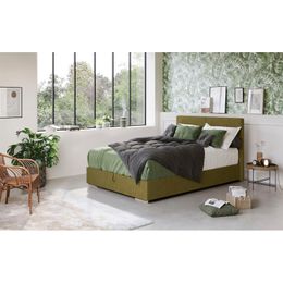 COTTA Boxbett &raquo;Tom mit Bettkasten, Topper und Zierkissen&laquo; Bestseller, Unser Dauertiefpreis gr&uuml;n Polyester Struktur soft Polyester Komfortschaumtoppper