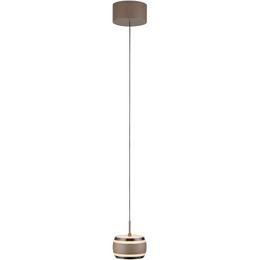 Neuhaus PURE LED Pendelleuchte &raquo;PURE Falling Rings&laquo; LED-Board 1 Stk. warmwei&szlig; - kaltwei&szlig; Comfort Lift, CCT, dimmbar, Fernbedienung, Timer braun 1, H: 