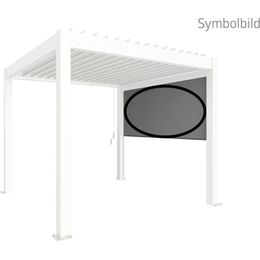 BioHort Rollo &raquo;f&uuml;r Pergola 3,5m, elektrisch, verschiedene Farben&laquo; Lichtschutz Blendschutz Hitzeschutz Sichtschutz Sonnenschutzrollo grau Polyester, 