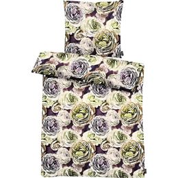 Apelt Bettw&auml;sche &raquo;Beatrice&laquo; 2 Stk. exklusives gro&szlig;formatiges Blumendesign setzt ein modisches Statement bunt Mako-Satin, Obermaterial: 100% Baumwolle 