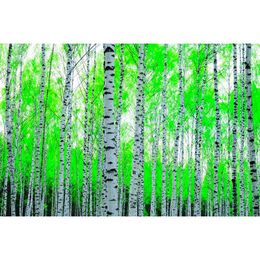 papermoon Fototapete &raquo;Birch Forest&laquo; glatt bunt Vlies B/L: 5m x 2,8m, Bahnen: 10 Stk.