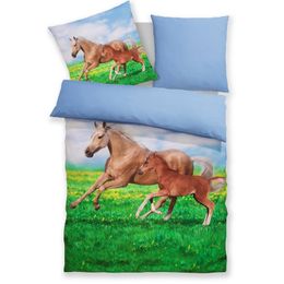 OTTO home Bettw&auml;sche &raquo;Lyki&laquo; 2 ab Gr&ouml;&szlig;e 135x200 cm, 100% Polyester, Katze, Pferd, L&ouml;we, Pinguin Microfaser, Obermaterial: 100% Polyester B/L: 135cm x 