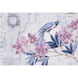 Livingwalls living walls Fototapete &raquo;ARTist Bird Discovery&laquo; Vlies, Wand, Schr&auml;ge blau Vlies B/L: 4m x 2,7m