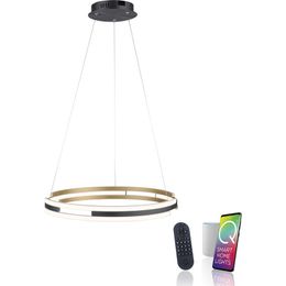 Neuhaus Q SMART HOME LIGHTS LED Pendelleuchte &raquo;Q-BELUGA&laquo; LED-Board 1 Stk. warmwei&szlig; - kaltwei&szlig; gold 1, &Oslash; 60cm, 1 Stk.
