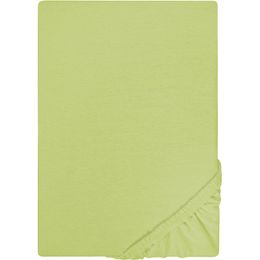 Biberna Spannbettlaken &raquo;Leila&laquo; Bettlaken aus 100% Baumwolle, f&uuml;r Matratzenh&ouml;hen bis 22 cm gr&uuml;n Jersey, Obermaterial: 100% Baumwolle B/L: 200cm, 1 Stk., Jersey