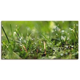 Artland Leinwandbild &raquo;Tautropfen&laquo; Gr&auml;ser 1 Stk. tlg. auf Holzrahmen gespannt gr&uuml;n B/H/T: 60cm x 30cm, Leinwandbild Gr&auml;ser Querformat, 1 Stk.