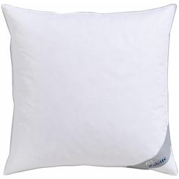 Balette Federkissen &raquo;Lena&laquo; F&uuml;llung: 100% Federn 1 Stk. tlg. Kopfkissen in 40x80 und 80x80 erh&auml;ltlich wei&szlig; F&uuml;llung: 100% Federn B/H/L: 80cm x 80cm, Baumwolle, 