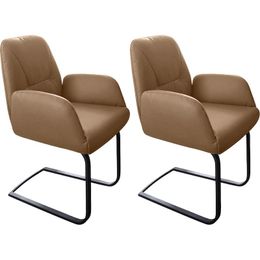W.Schillig Freischwinger &raquo;ole&laquo; (Set) 2 Stk.2er- oder 4er-Set, Gestell in Schwarz pulverbeschichtet braun Longlife Xtra-Leder Z69: Das feinnarbige, 