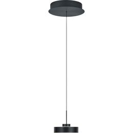 HELL h&ouml;llisch gutes Licht LED Pendelleuchte &raquo;SPENCER&laquo; LED-Modul 1 Stk. Warmwei&szlig; B-Link Fernbedienung, Stufenlos h&ouml;henverstellbar schwarz 1, &Oslash; 26cm, 1 