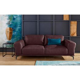 W.Schillig 2,5-Sitzer &raquo;montanaa elegant und edel, bequem, Federkernunterfederung&laquo; mit Metallf&uuml;&szlig;en in Schwarz pulverbeschichtet, Breite 212 cm braun B/