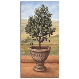Artland Leinwandbild &raquo;Olivenbaum&laquo; Pflanzen 1 Stk. tlg. auf Holzrahmen gespannt gr&uuml;n B/H/T: 30cm x 60cm, Leinwandbild Pflanzen, 1 Stk.