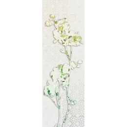 ARCHITECTS PAPER Fototapete &raquo;Absence Of Time&laquo; Floral Tapete Natur Grau Wei&szlig; Gr&uuml;n Panel 1,00 m x 2,80 m bunt Vlies B/L: 1m x 2,8m