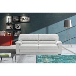 Egoitaliano 2,5-Sitzer &raquo;Doris, modernes Designersofa, Ledersofa mit erstklassiger Sitzqualit&auml;t&laquo; edle Detailverarbeitung, perfekte Polsterung, aus hochwertigem 