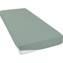 OTTO home Spannbettlaken &raquo;SOUCY aus Baumwolle mit Elasthan, 160 g/m&sup2;&laquo; Premium Bettlaken f&uuml;r Matratzen bis 30 cm H&ouml;he, optimale Passform gr&uuml;n Jersey-
