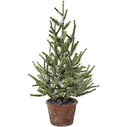 OTTO home K&uuml;nstlicher Weihnachtsbaum &raquo;Weihnachtsdeko, k&uuml;nstlicher Christbaum, Tannenbaum&laquo; Fichte mit Schnee gr&uuml;n Kunststoff H: 55cm bis
