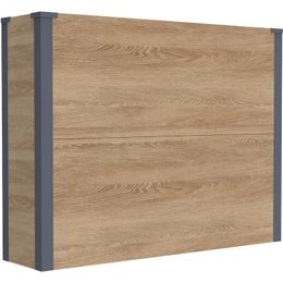 WESTMANN Pflanzk&uuml;bel &raquo;Talus XL&laquo; BxTxH: 100x25x77 cm braun Stahl B/H/T: 100cm x 77cm x 25cm