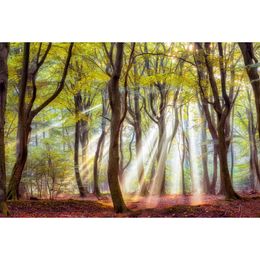 ARCHITECTS PAPER Fototapete &raquo;Start to Fall&laquo; Vlies, Wand, Schr&auml;ge bunt Vlies B/L: 4m x 2,7m