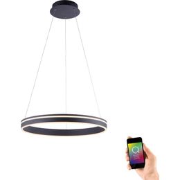Neuhaus Q SMART HOME LIGHTS LED Pendelleuchte &raquo;Q-VITO&laquo; LED-Board 1 Stk. warmwei&szlig; - kaltwei&szlig; 1, &Oslash; 59cm, 1 Stk.