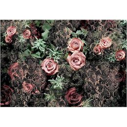 Komar Fototapete &raquo;Velvet - Gr&ouml;&szlig;e 368 x 254 cm&laquo; bedruckt glatt Wohnzimmer, Schlafzimmer bunt Papier B/L: 368m x 254m, Rollen: 8