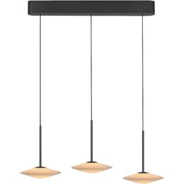 Paul Neuhaus LED Pendelleuchte &raquo;ELIPSA&laquo; LED-Board 1 Stk. Warmwei&szlig; Dimmf&auml;hig &uuml;ber separaten Tronicdimmer, Comfort-Lift 3, &Oslash; 20cm H: 80cm, 1 Stk.