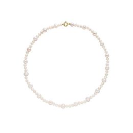 Firetti Damen Perlenkette &raquo;Schmuck Geschenk Gold 375 Halsschmuck Halskette Perle&laquo; Made in Germany - mit S&uuml;&szlig;wasserzuchtperle gold Gelbgold 375 Perlen 
