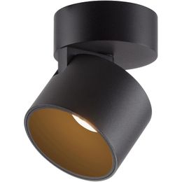 Neuhaus PURE LED Deckenleuchte &raquo;PURE Cup&laquo; LED-Board 1 Stk. Warmwei&szlig; Dimmf&auml;hig &uuml;ber separaten Tronicdimmer, dreh- & schwenkbar schwarz 1, &Oslash; 9,5cm H: 