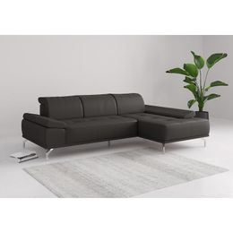 OTTO home Ecksofa &raquo;Caluna&laquo; Inkl.Sitztiefenverstellung, wahlweise mit Kopf- und Armteilverstellung grau B/H/T: 280cm x 81cm x 174cm, NaturLEDER Stoff, 