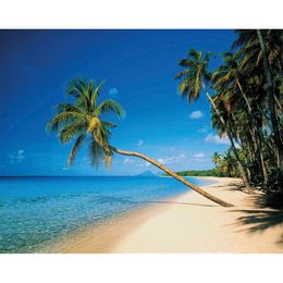 papermoon Fototapete &raquo;Leaning Palms&laquo; glatt bunt Vlies B/L: 2m x 1,49m, Bahnen: 4 Stk.