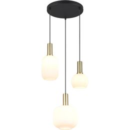 Trio Leuchten Pendelleuchte &raquo;DIVA, E27 H&auml;ngelampe 3-flammig mit Glasschirm, exkl 3xE27 max 10W&laquo; E27 1 Stk. warmwei&szlig; - kaltwei&szlig; h&ouml;henverstellbar bis 