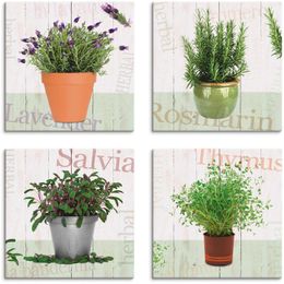 Artland Leinwandbild &raquo;Lavendel, Rosmarin, Salbei, Thymian&laquo; Pflanzen 4 Stk. tlg. 4er Set, verschiedene Gr&ouml;&szlig;en beige Leinwand, MDF B/H/T: 40cm x 40cm, 