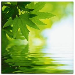Artland Leinwandbild &raquo;Gr&uuml;ne Bl&auml;tter reflektieren im Wasser&laquo; Bl&auml;tter 1 Stk. tlg. auf Holzrahmen gespannt gr&uuml;n Leinwand B/H/T: 50cm x 50cm, Leinwandbild Bl&auml;tter