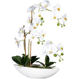 Creativ green Kunstorchidee &raquo;Phalaenopsis&laquo; im Keramikschiff wei&szlig; Kunststoff B/H/L: 60cm, 1 Stk.