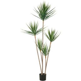 Creativ green Kunstpflanze &raquo;Dracaena draco&laquo; mit 5 St&auml;mmen gr&uuml;n Kunststoff B/H/L: 165cm, 1 Stk.