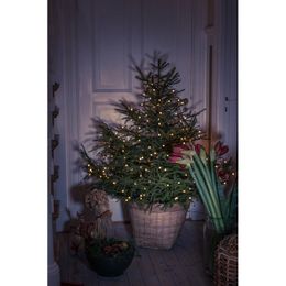 Konstsmide LED-Baummantel 250 Stk.-flammig LED Lichterkette mit Ring &Oslash; 11, mit Globes, 5 Str&auml;nge &agrave; 50 Dioden gr&uuml;n Dioden 250 Stk. Flammen 250 Stk., 