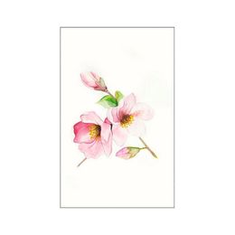 Komar Bild &raquo;Magnolia Breathe&laquo; Blumen 1 Stk. tlg. Wandbild zur Dekoration - ohne Rahmen rosa Holzwerkstoff, Papier B/H/T: 30cm x 40cm, Blumen, 1 Stk.