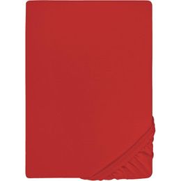 Biberna Spannbettlaken &raquo;THEA Baumwoll-Jersey mit Elasthan, 160 g/m&sup2;&laquo; Bettlaken f&uuml;r Matratzen bis 25 cm H&ouml;he, pflegeleicht, b&uuml;gelfrei rot Jersey-Elasthan, 