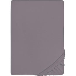 Biberna Spannbettlaken &raquo;THEA Baumwoll-Jersey mit Elasthan, 160 g/m&sup2;&laquo; Bettlaken f&uuml;r Matratzen bis 25 cm H&ouml;he, pflegeleicht, b&uuml;gelfrei silber Jersey-Elasthan, 