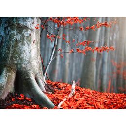 papermoon Fototapete &raquo;Old Autumn Tree&laquo; glatt bunt Vlies B/L: 3m x 2,23m, Bahnen: 6 Stk.