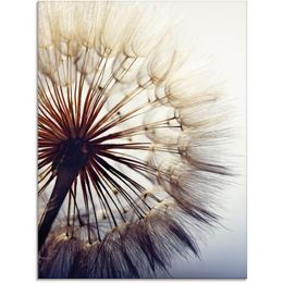 Artland Glasbild &raquo;Gro&szlig;e Pusteblume&laquo; Blumen 1 Stk. tlg. in verschiedenen Gr&ouml;&szlig;en blau B/H/T: 45cm x 60cm, Glasbild Blumen, 1 Stk.