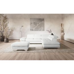 COTTA Ecksofa &raquo;Enterprise L-Form, B: 277 cm&laquo; Arm- & Kopfteilverstellung, optional Schlaffunktion wei&szlig; Softlux -Kunstleder;Luxus-Kunstleder B/H/T: 