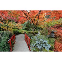 papermoon Fototapete &raquo;JAPANISCHER GARTEN HERBST&laquo; bunt Vlies B/L: 3,5m x 2,6m, Bahnen: 7 Stk.