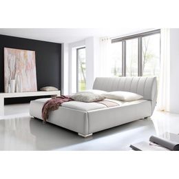 Meise M&ouml;bel meise.m&ouml;bel Polsterbett &raquo;Luna&laquo; mit Lattenrost und Bettkasten wei&szlig; Bezug Bett: Kunstleder Liegefl&auml;che L&auml;nge B: 200cm x 180cm, Kunstleder, H&ouml;he 