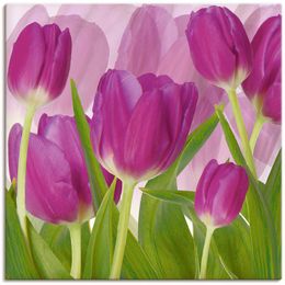 Artland Wandbild &raquo;Tulpenfeld lila&laquo; Blumen 1 Stk. tlg. als Alubild, Leinwandbild in verschied. Gr&ouml;&szlig;en lila B/H/T: 100cm x 100cm, Leinwandbild Blumen, 1 Stk.